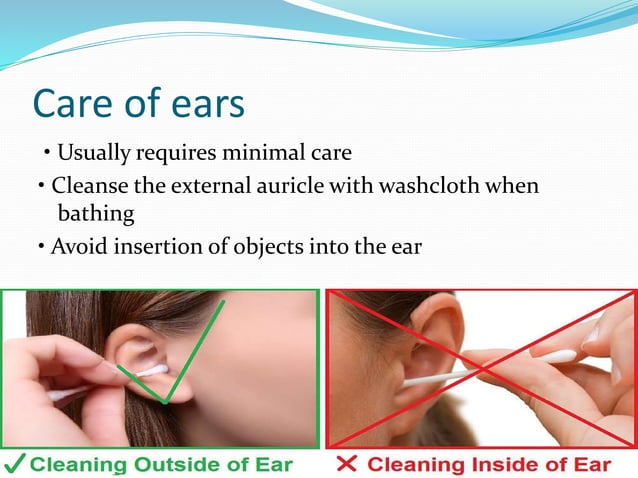 Care of Eyes , Ears and Nose.pptx | Ear, Nose and Throat Conditions ...