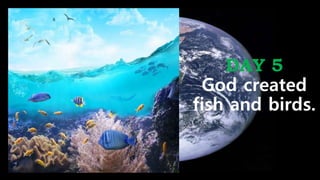 Care for God’s Creation | PPTX