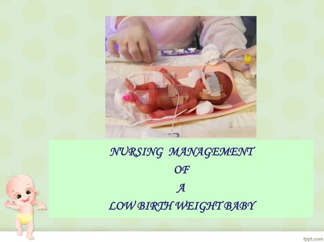 CARE OF HIGH RISK NEWBORN.pptx | Pregnancy | Reproductive Health