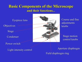 Care of microscope | PPT
