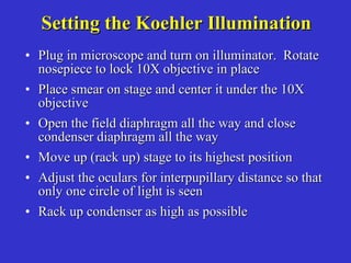 Care of microscope | PPT