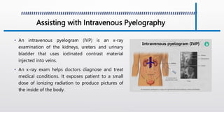 Care of patients with renal biopsy and IVPpptx | PPTX