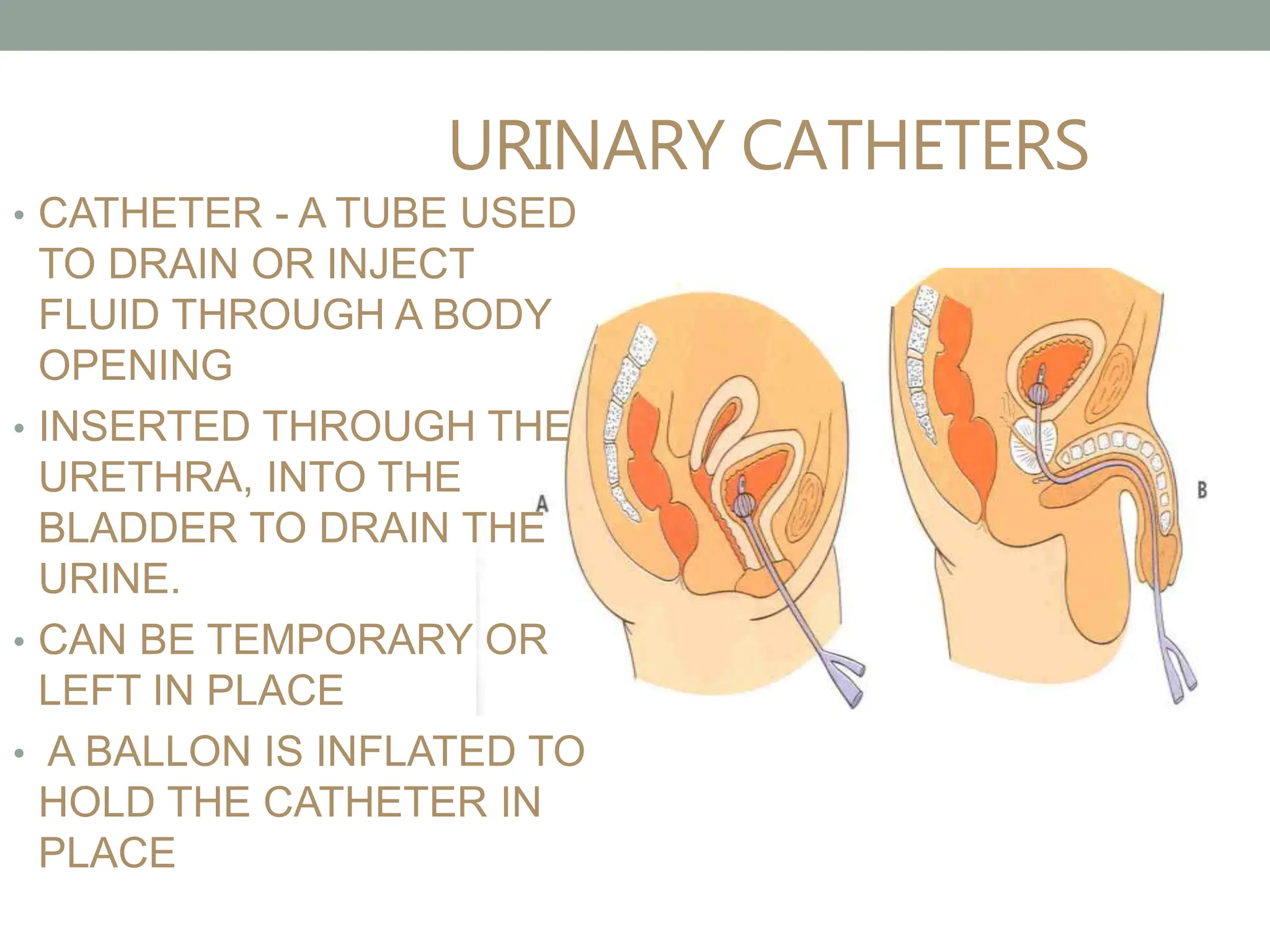 Care Of Patient With Drains And Its Nursing Management Pptx