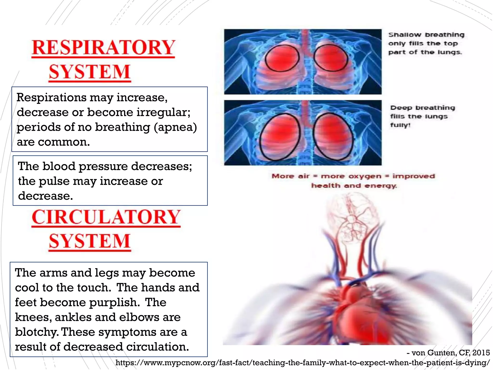 Care of persons in the critical and terminal phases of life | PDF