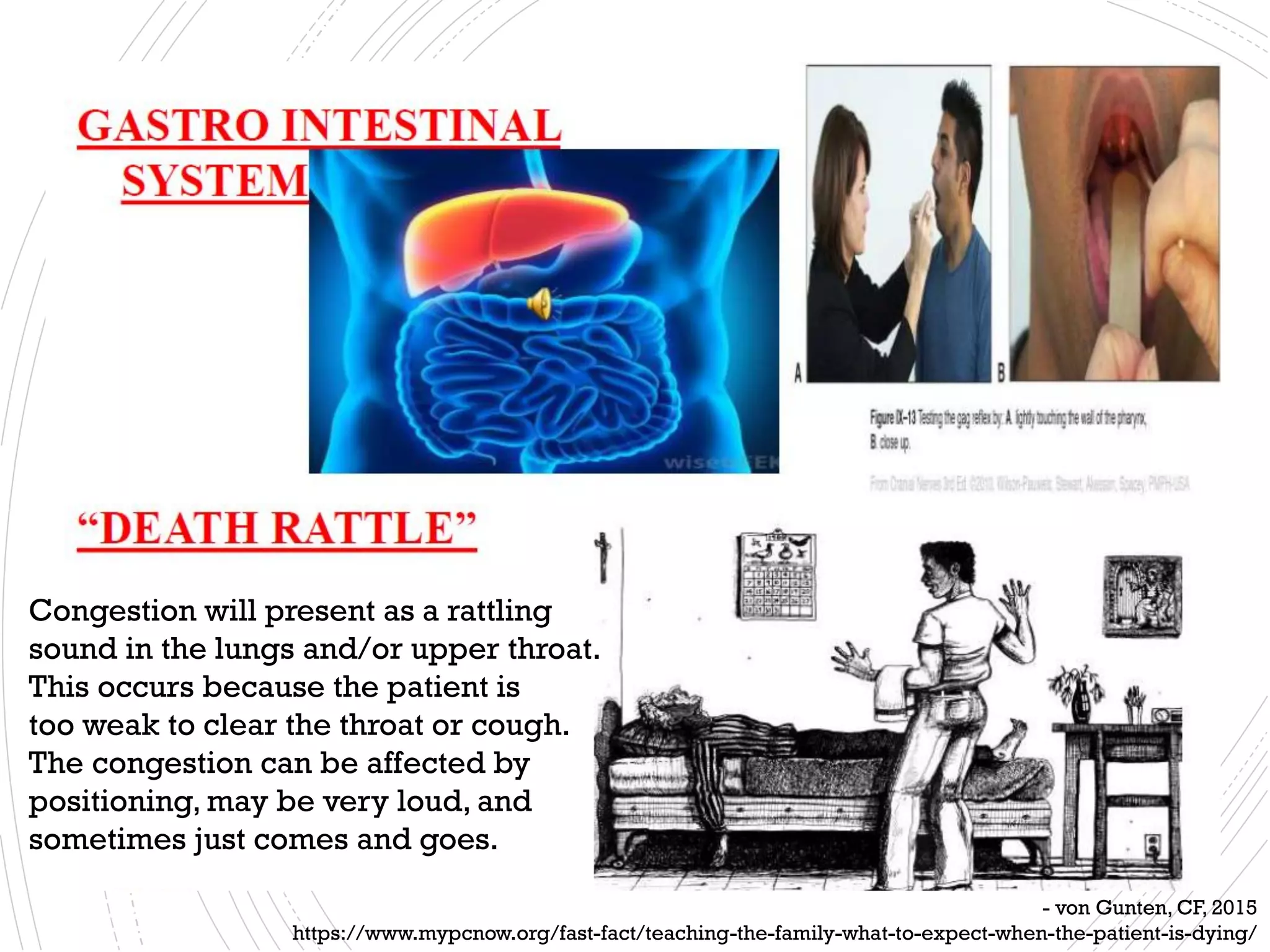 Care of persons in the critical and terminal phases of life | PDF