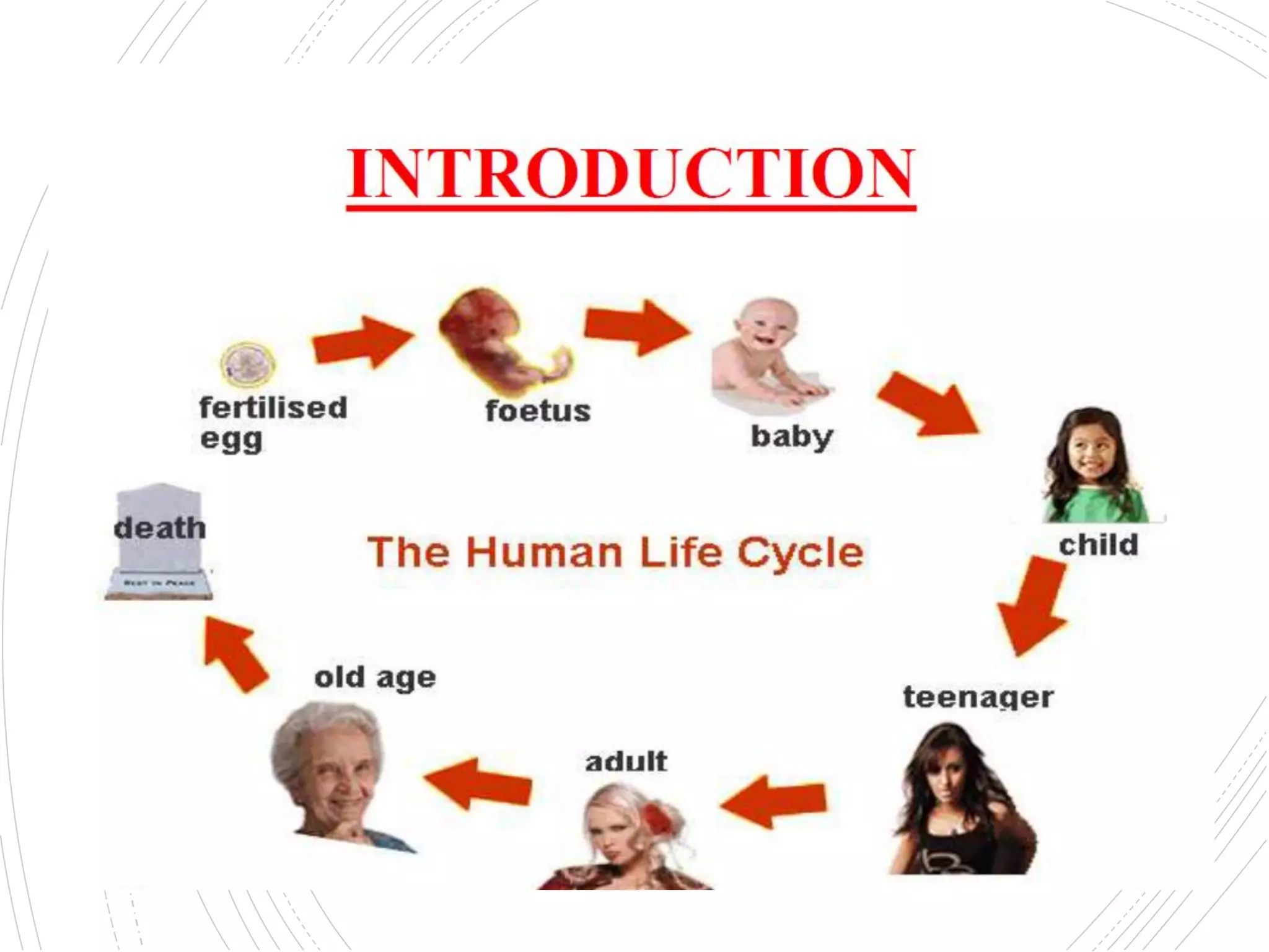 Care of persons in the critical and terminal phases of life | PDF