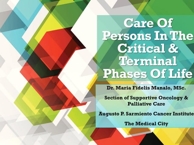 Care of persons in the critical and terminal phases of life | PDF ...