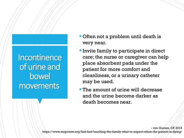 Care of persons in the critical and terminal phases of life | PDF ...