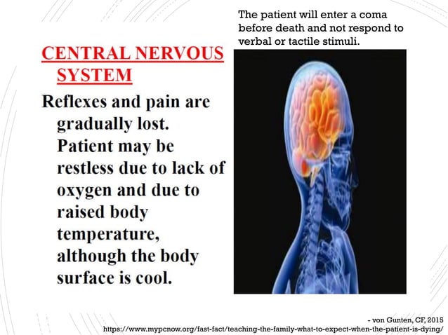 Care of persons in the critical and terminal phases of life | PDF ...