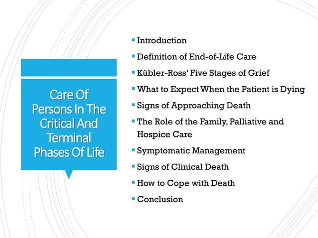 Care of persons in the critical and terminal phases of life | PDF ...