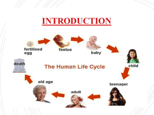 Care of persons in the critical and terminal phases of life | PDF ...