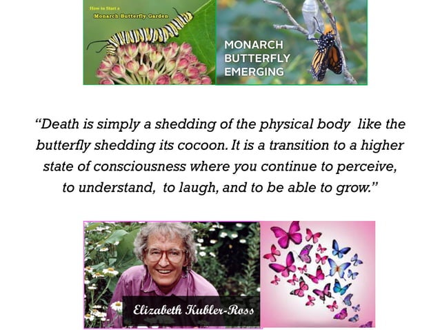 Care of persons in the critical and terminal phases of life | PDF ...