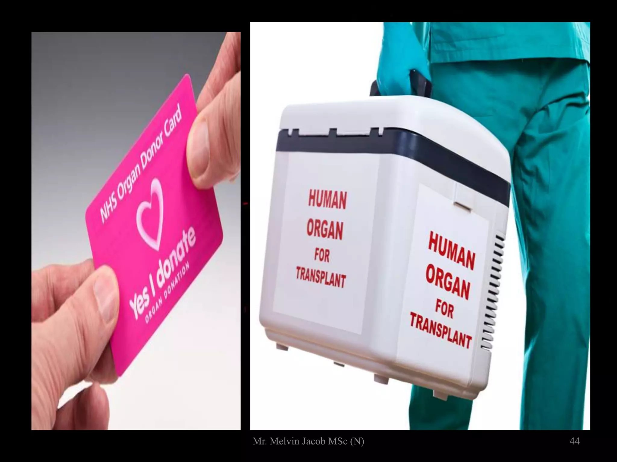 Care of terminally ill | PPTX
