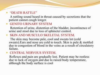 CARE OF TERMINALLY ILL.pptx