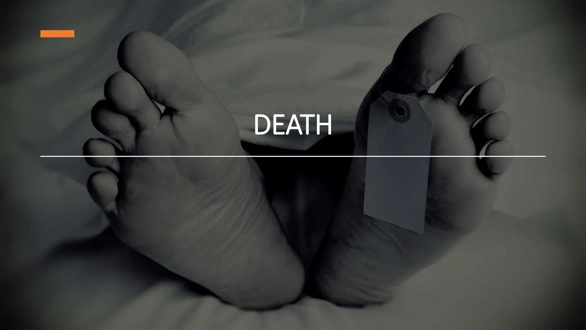 care of terminally ill, death and dying person.pptx