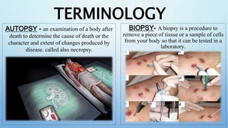 CARE OF TERMINALLY ILL PATIENT .pptx