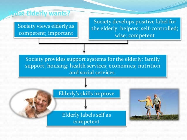 Care of the older adult