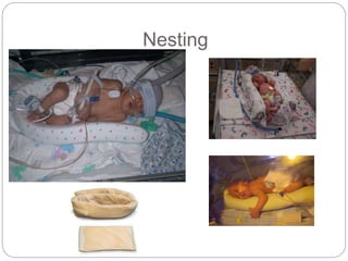 Care Of The Small Baby | PPTX