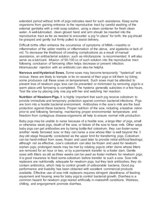 Care of the Sow During Farrowing and Lactation.docx