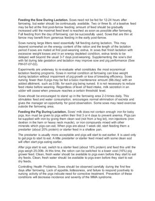 Care of the Sow During Farrowing and Lactation.docx