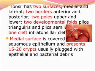 Care of tonsilitis patient | PPT