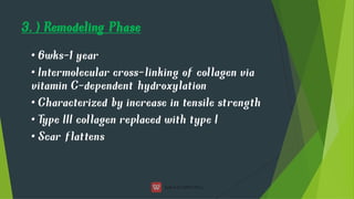 CARE OF WOUND AND DRAINAGE bbbbbb PPT .pdf