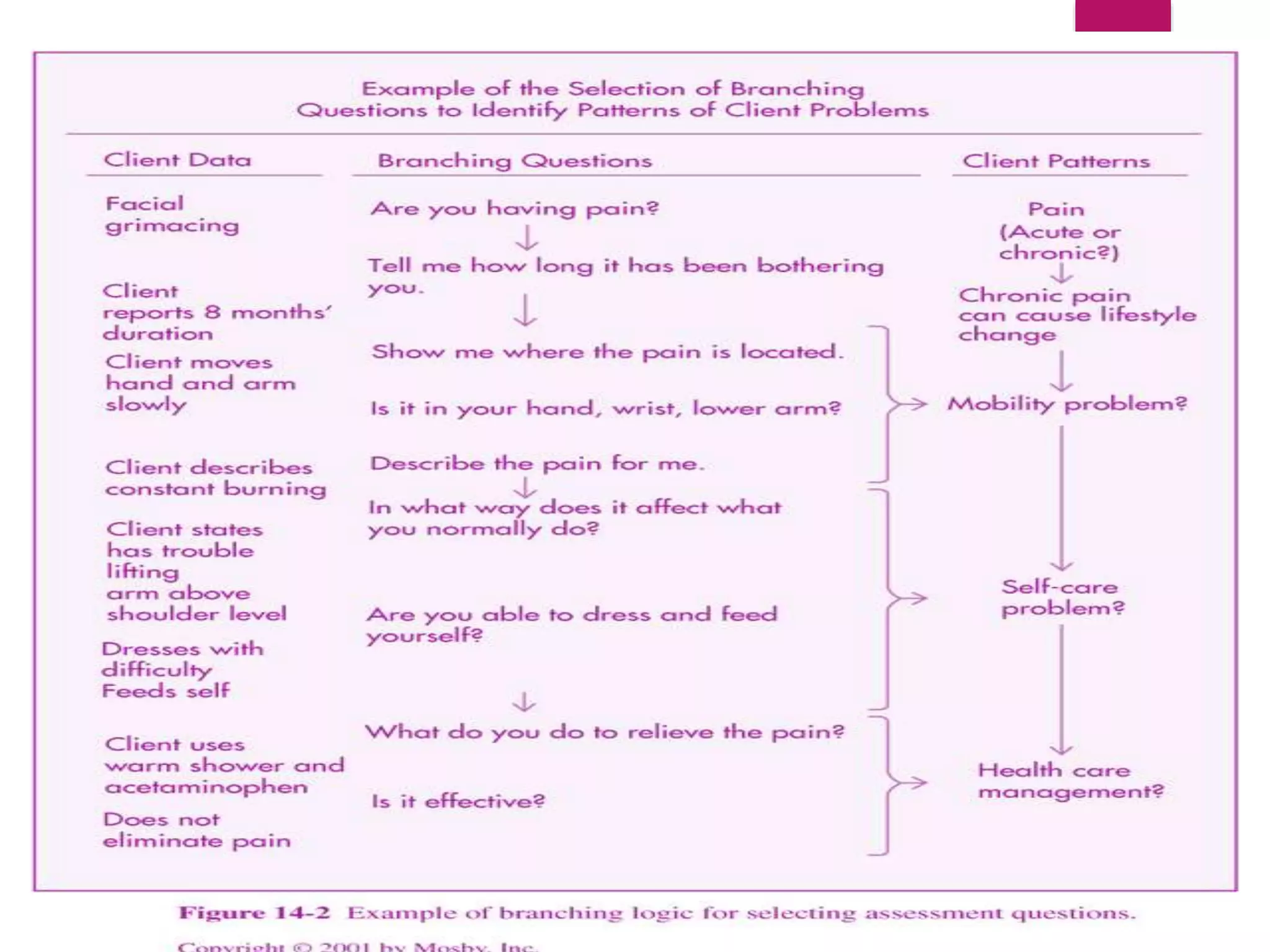 Care Plan Concept Map Workshop.ppt