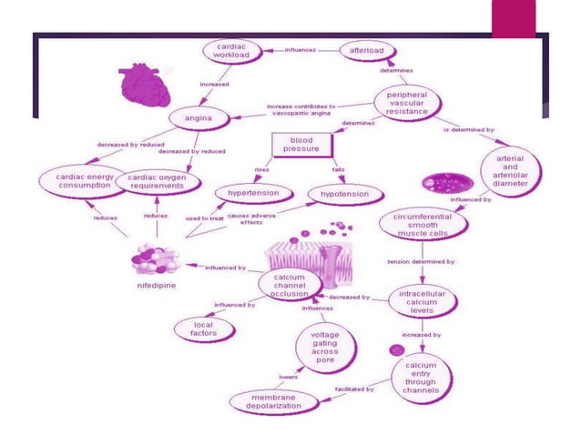 Care Plan Concept Map Workshop.ppt | Healthcare Industry | Industries