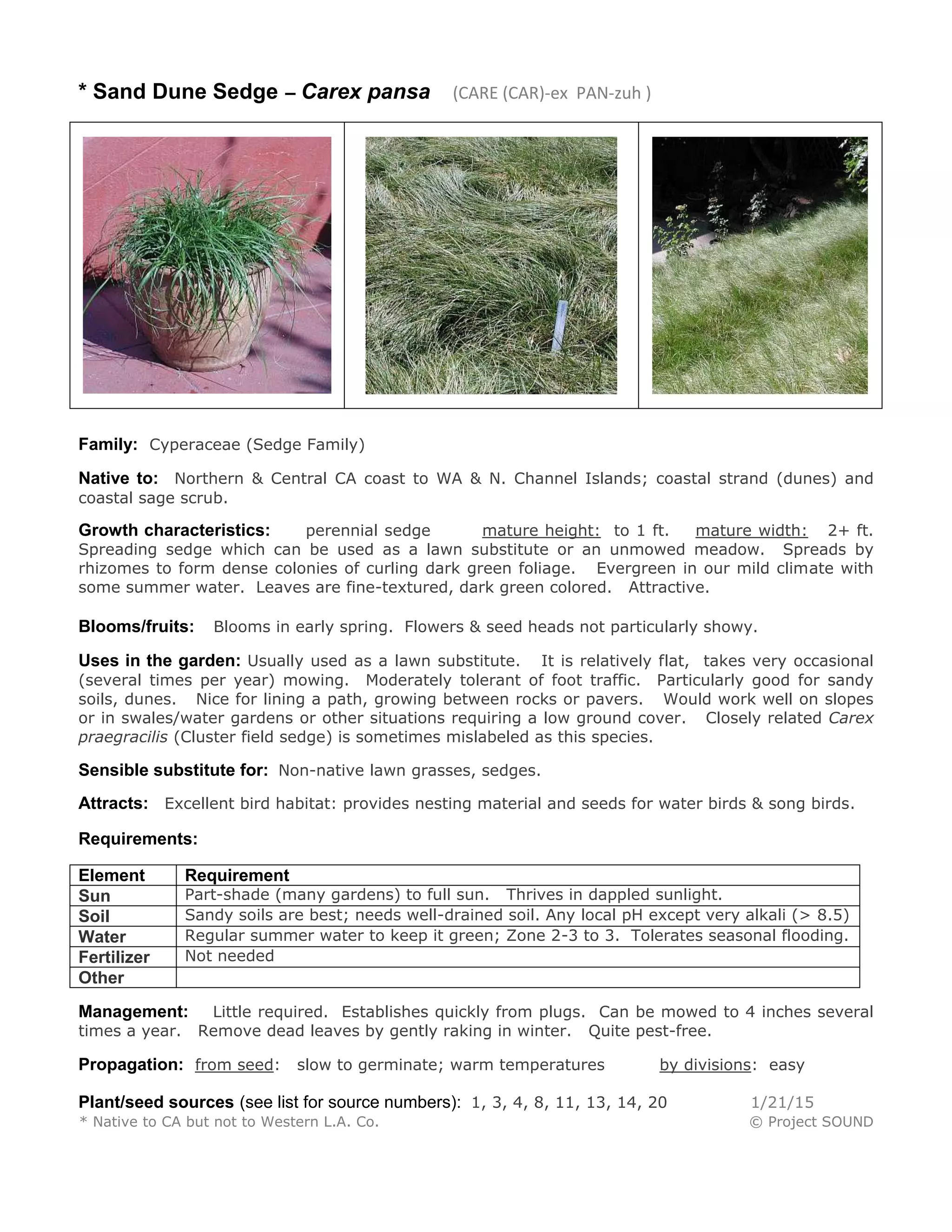 Carex pansa | PDF