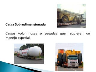 Carga , naturaleza y tipos | PDF
