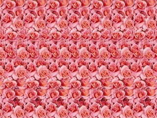 Cargill Authentic Leadership Bring Soul to Work | PPT