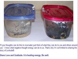 Cargill Authentic Leadership Bring Soul to Work | PPT