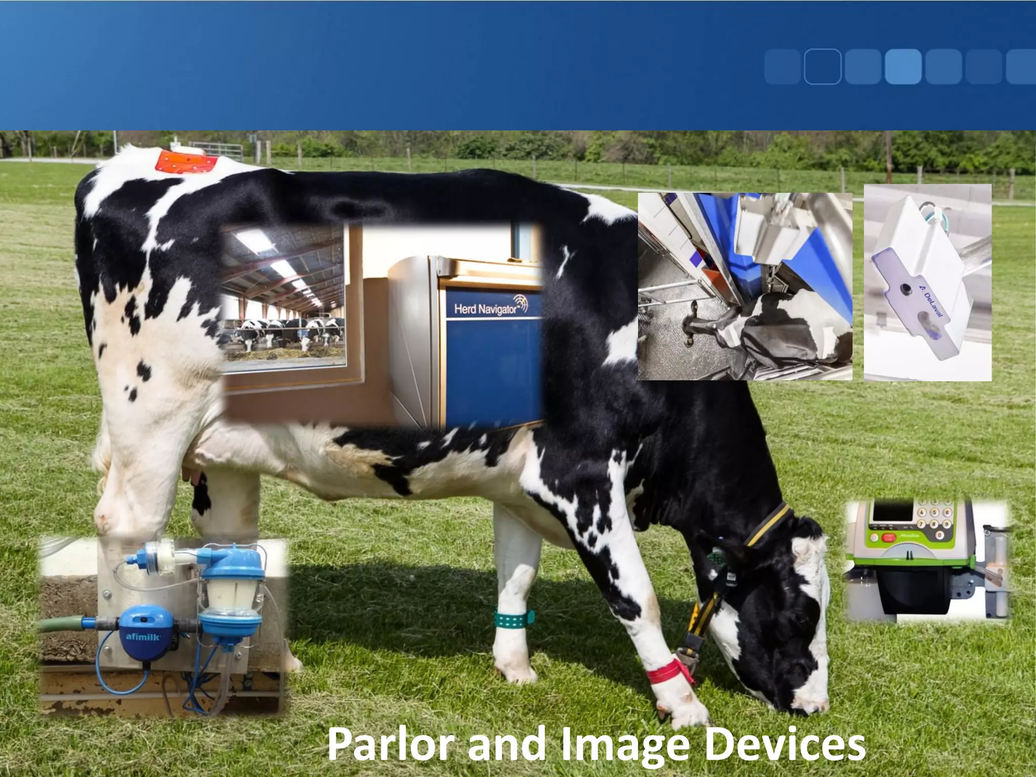 Precision Dairy Monitoring Opportunities and Challenges | PPT
