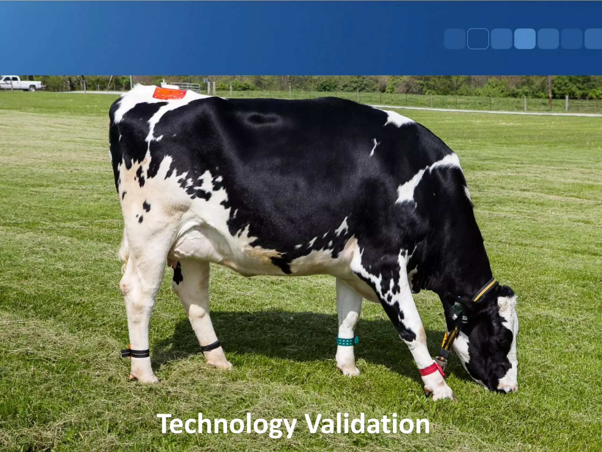 Precision Dairy Monitoring Opportunities and Challenges | PPT
