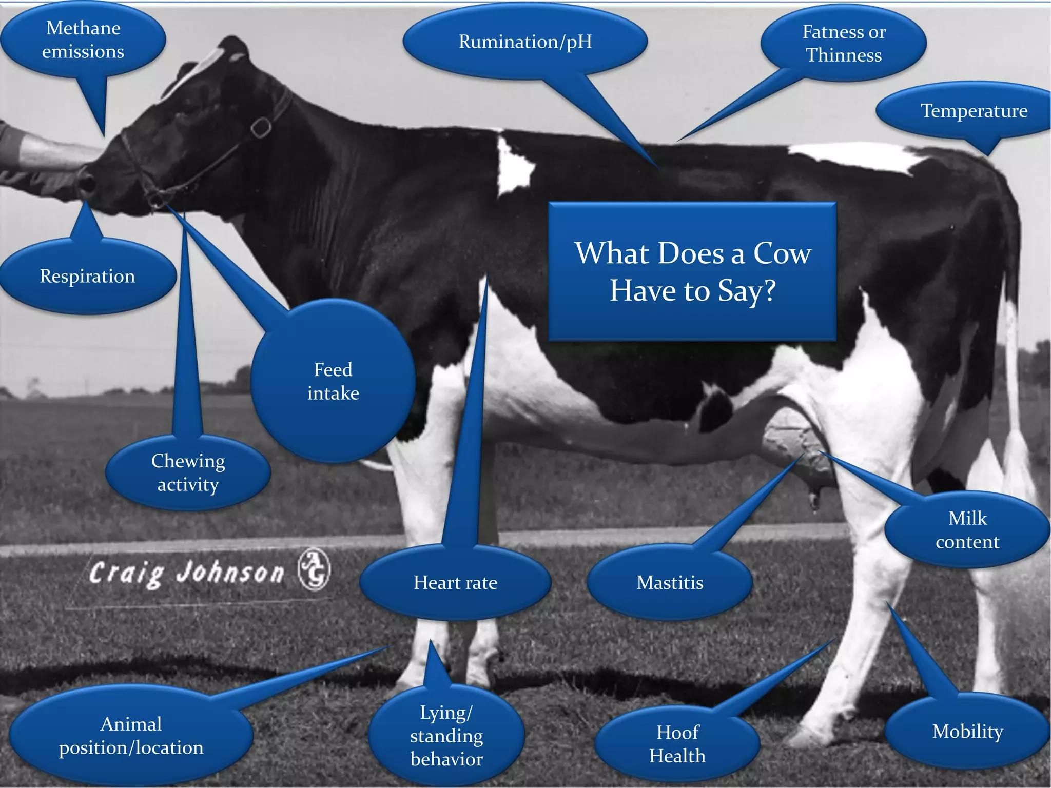 Precision Dairy Monitoring Opportunities and Challenges | PPT