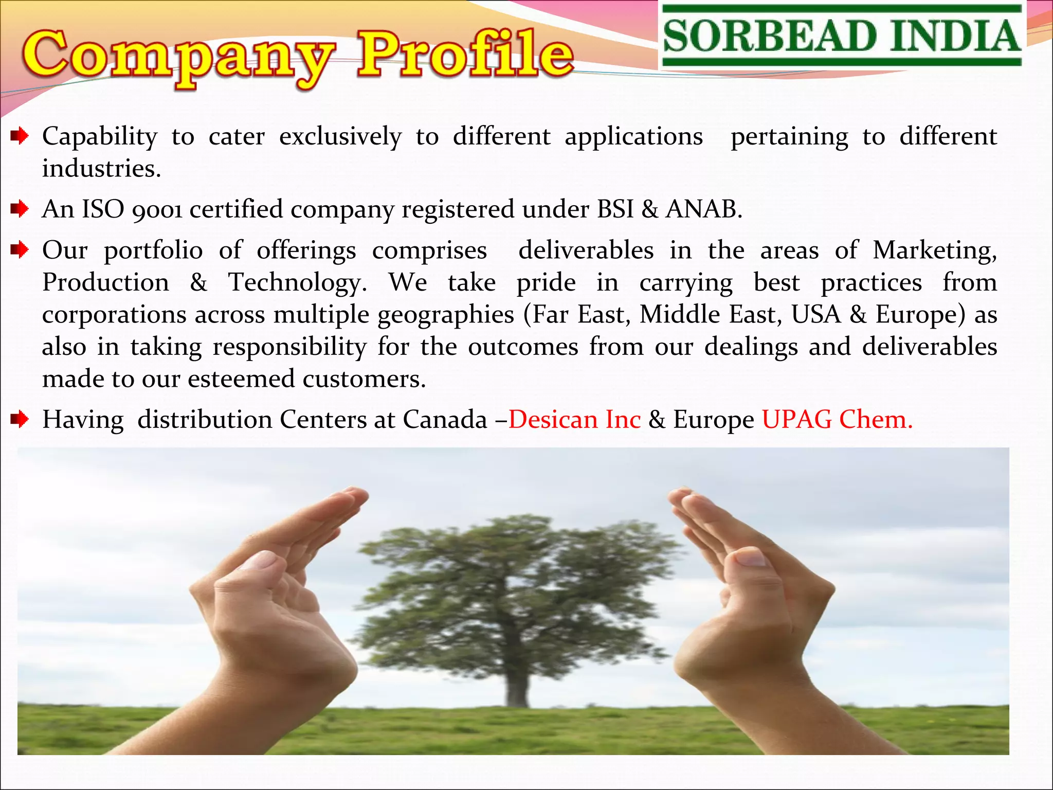 Container Desiccant - Cargo Dry Pak | PPT