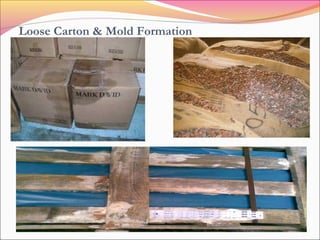 Container Desiccant - Cargo Dry Pak | PPT