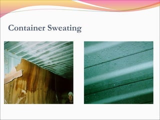 Container Desiccant - Cargo Dry Pak | PPT | Indoor Environmental ...