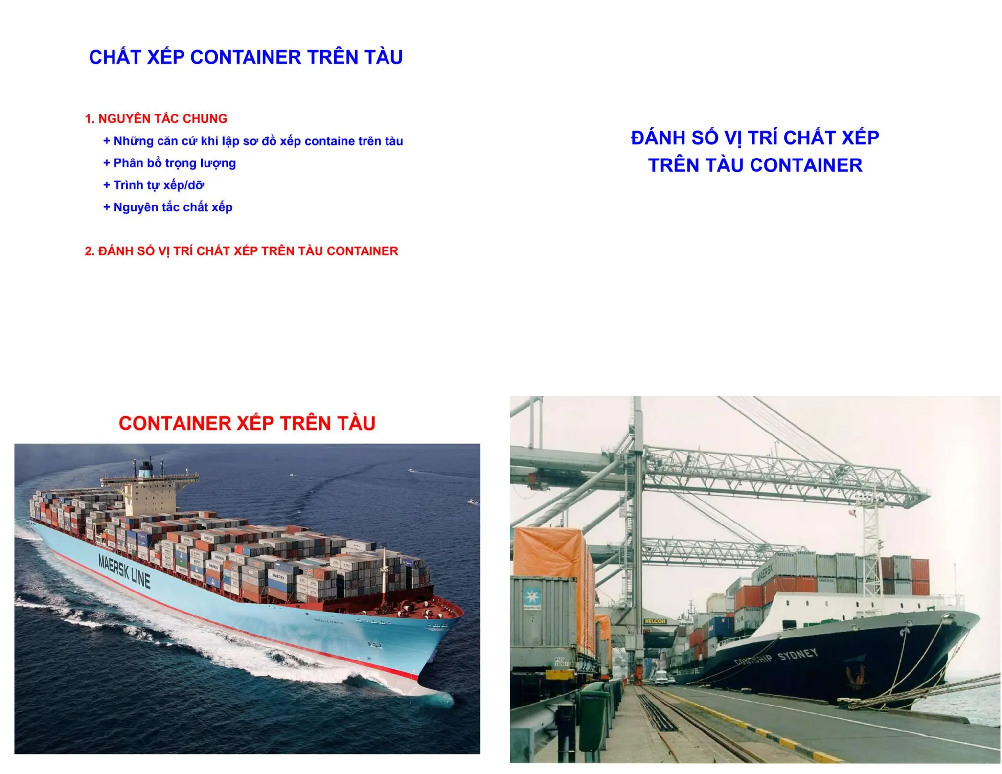 cargo plan - a definitive view on cargo planning | PDF