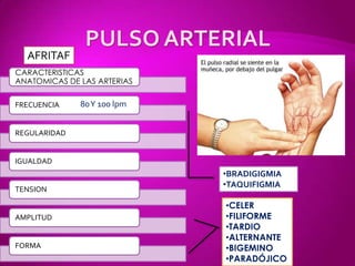 semiologia cardiaca | PPTX