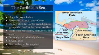 The Caribbean Sea by Kyle Evans for Oak Ridge Oceanography | PPT