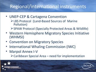 Marine Mammal Conservation-Caribbean Context | PPT | South America Travel | Travel Locations