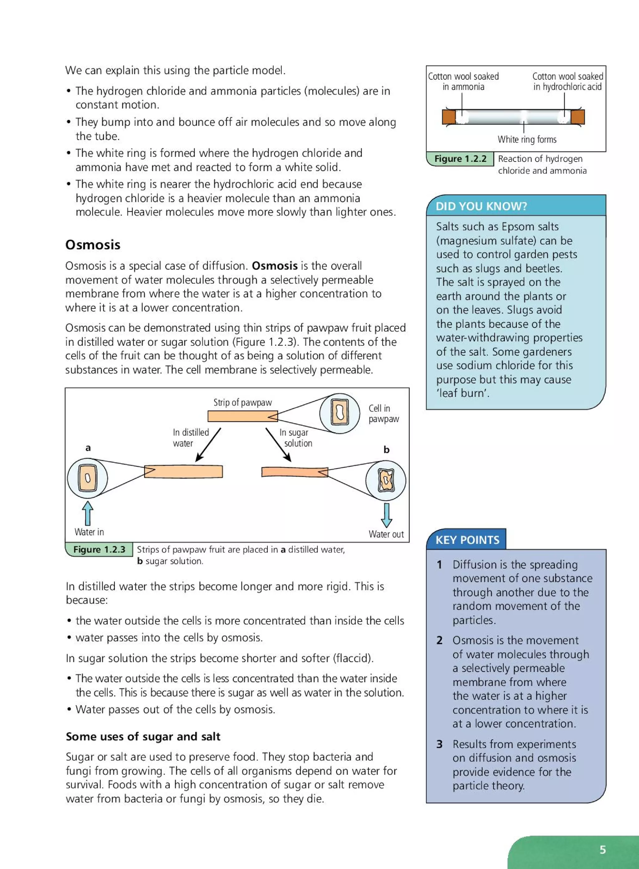 Caribbean csec chemistry study guide | PDF