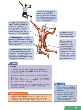 Caribbean csec physical education and sport study guide | PDF ...