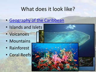 Caribbean power point | PPTX
