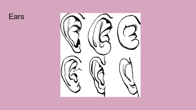 Caricature Portraits. Drawing portraits with exaggerated features. | PPT