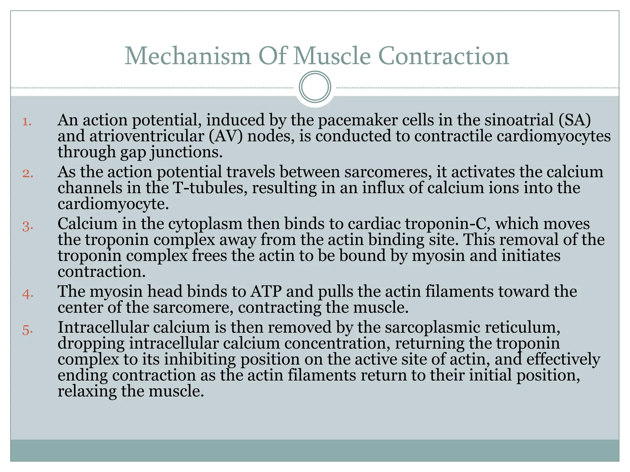 caridac muscle contraction and control calcium level.pdf