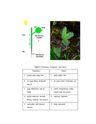 makalah tumbuhan | DOC