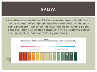 Caries dental y ecología bucal, aspectos importantes | PPTX