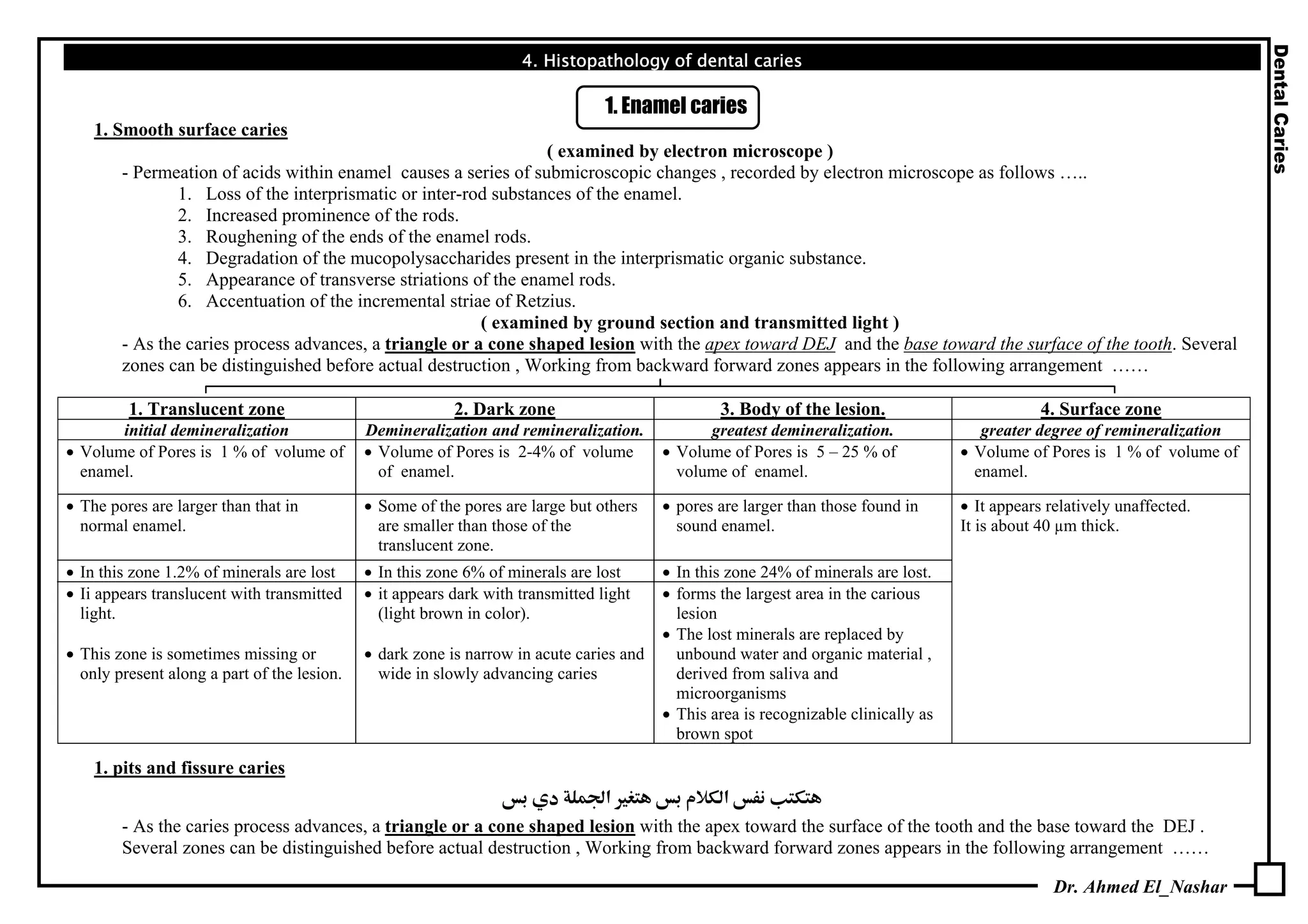 histopathology of dental caries .pdf